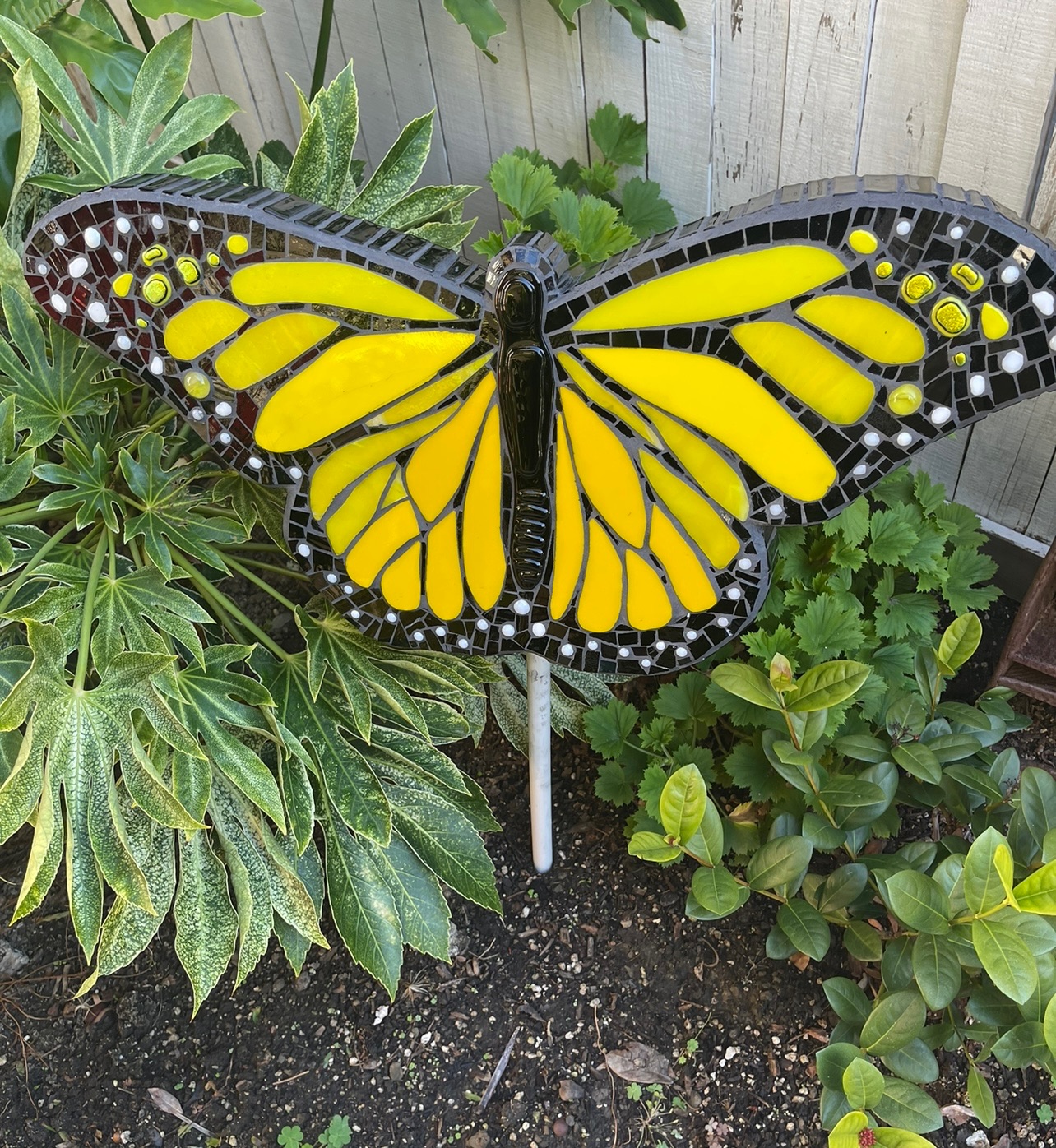 current offerings - Mosaic Fanatics